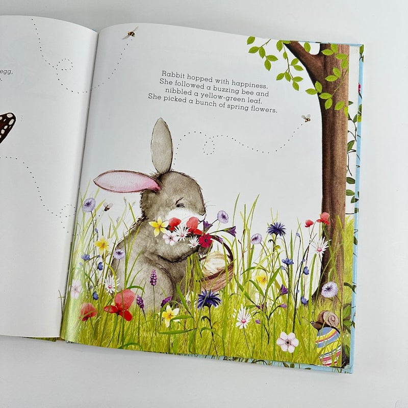 The Best Easter Egg Hunt Ever by Dawn Casey, Hardcover | Pangobooks