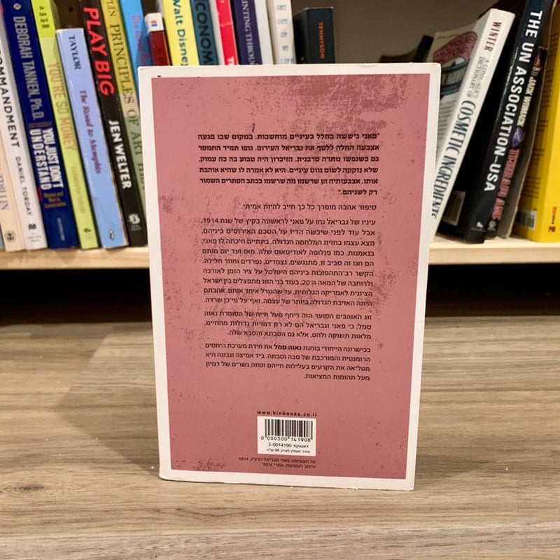 Fanny and Gabriel (*Hebrew Edition*) by Nava Semel, Paperback | Pangobooks