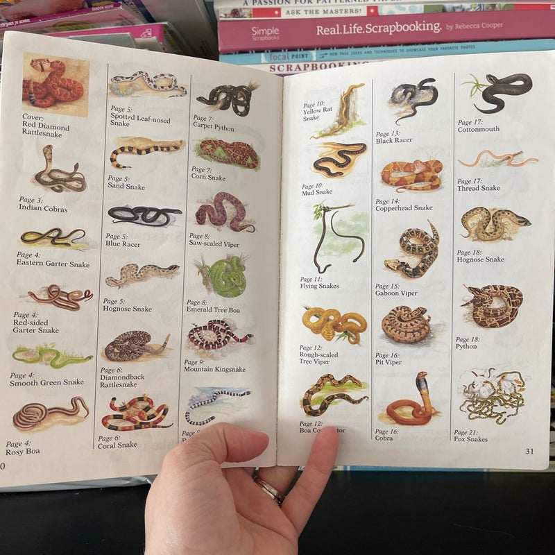 Great Snakes! by Fay Robinson