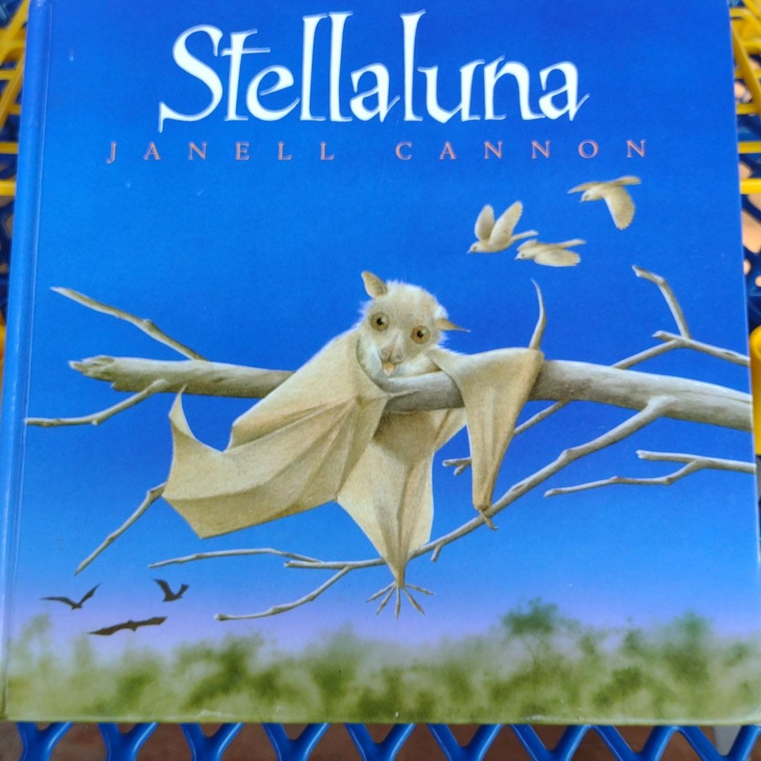 Stellaluna by Janell Cannon, Hardcover | Pangobooks