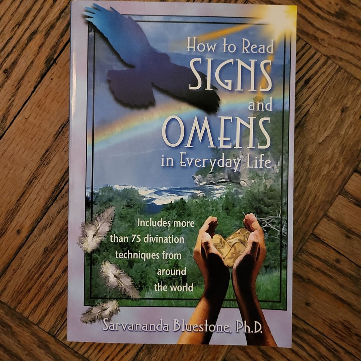 How to Read Signs and Omens in Everyday Life by Sarvananda Bluestone
