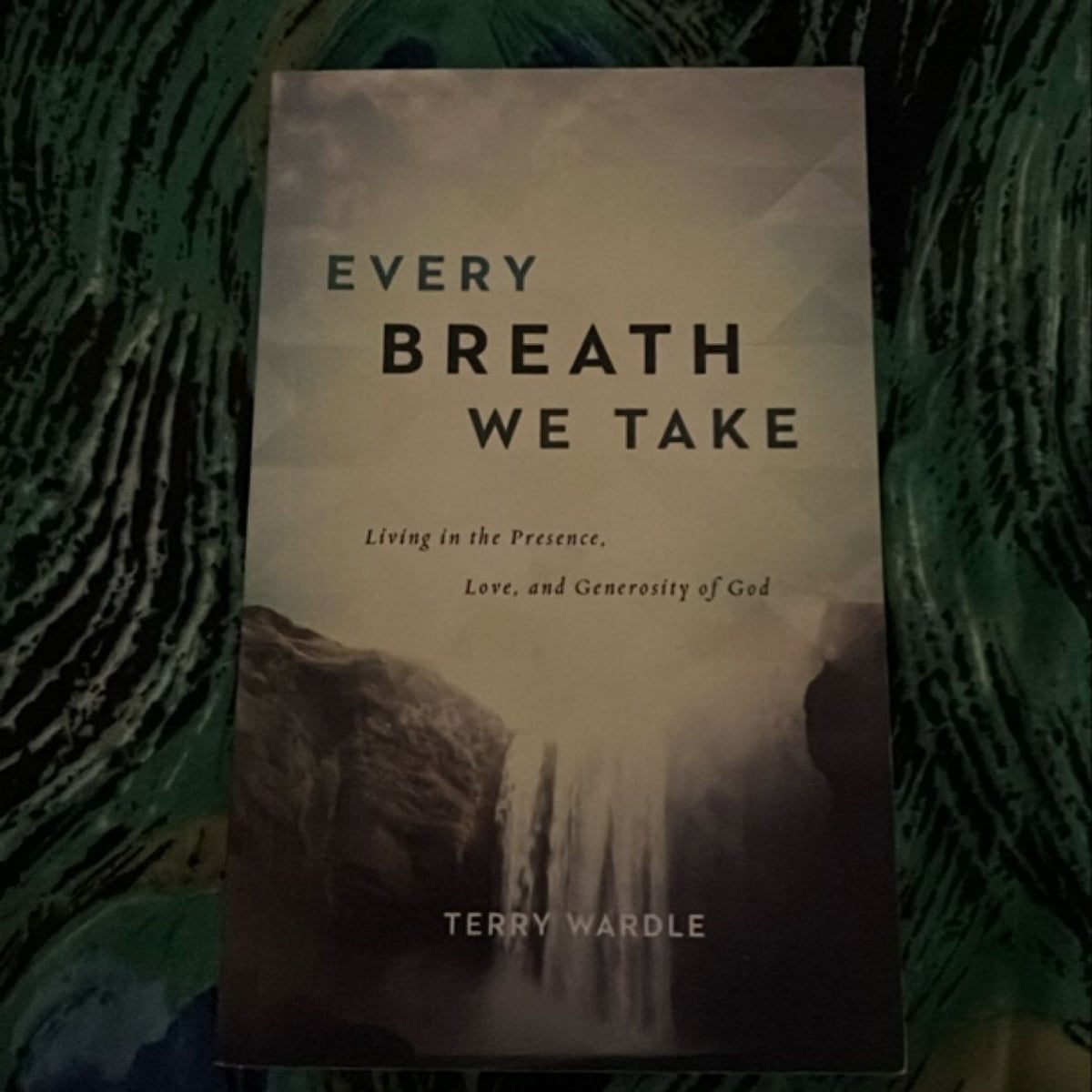 Every Breath We Take by Terry Wardle