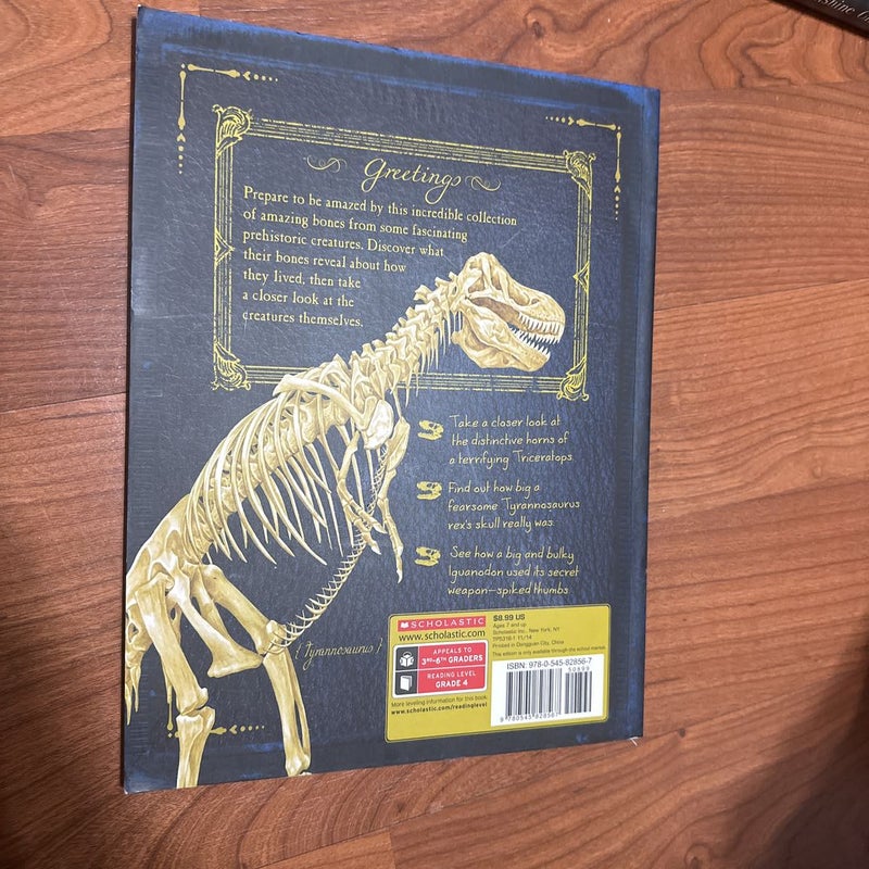 Bone Collection by Rob Colson