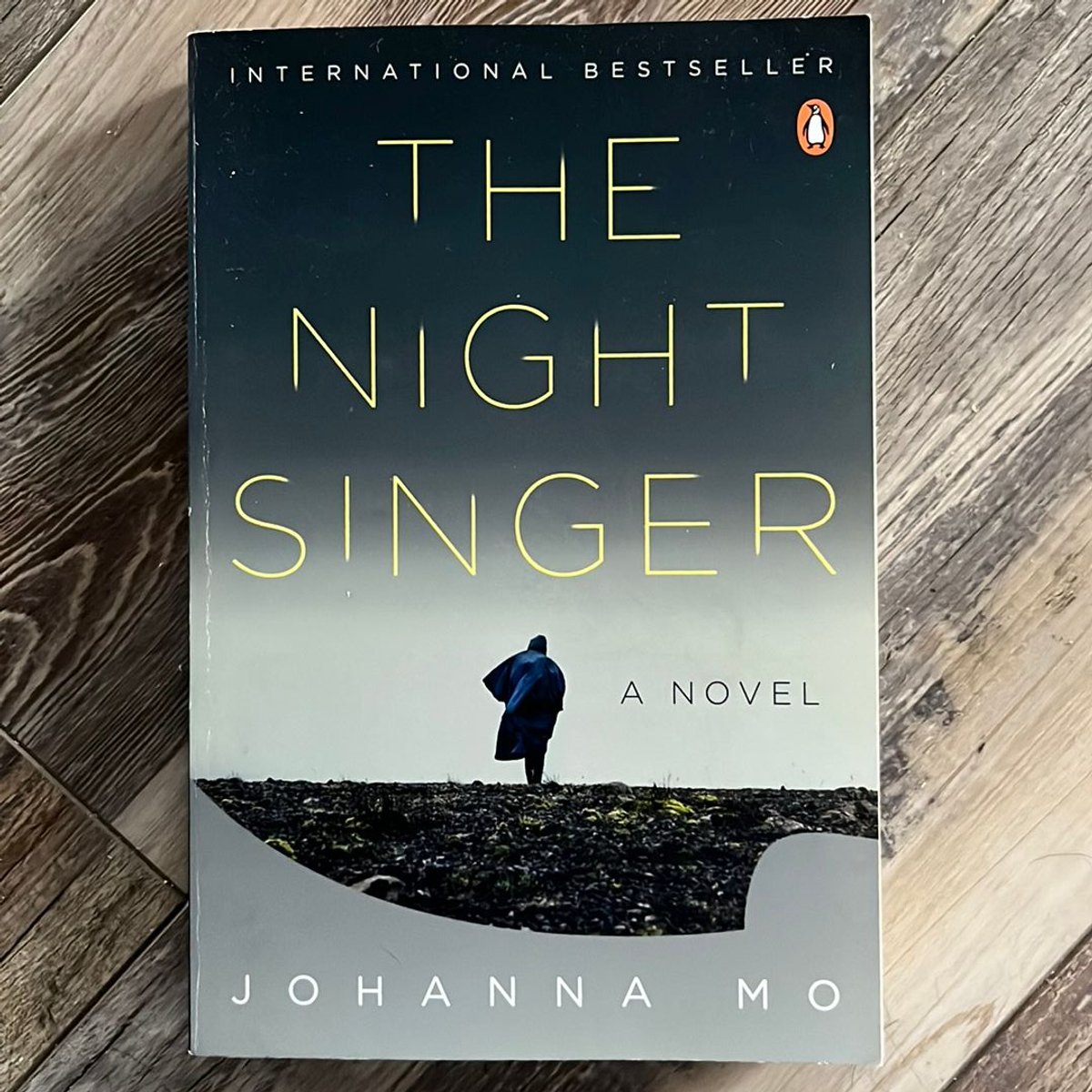 The Night Singer by Johanna Mo
