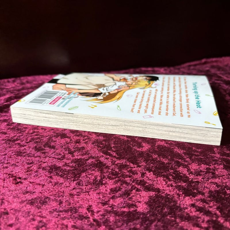 Gal Gohan Vol. 2 by Marii Taiyou