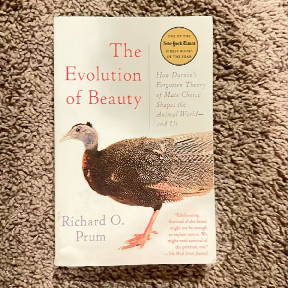The Evolution of Beauty by Richard O. Prum