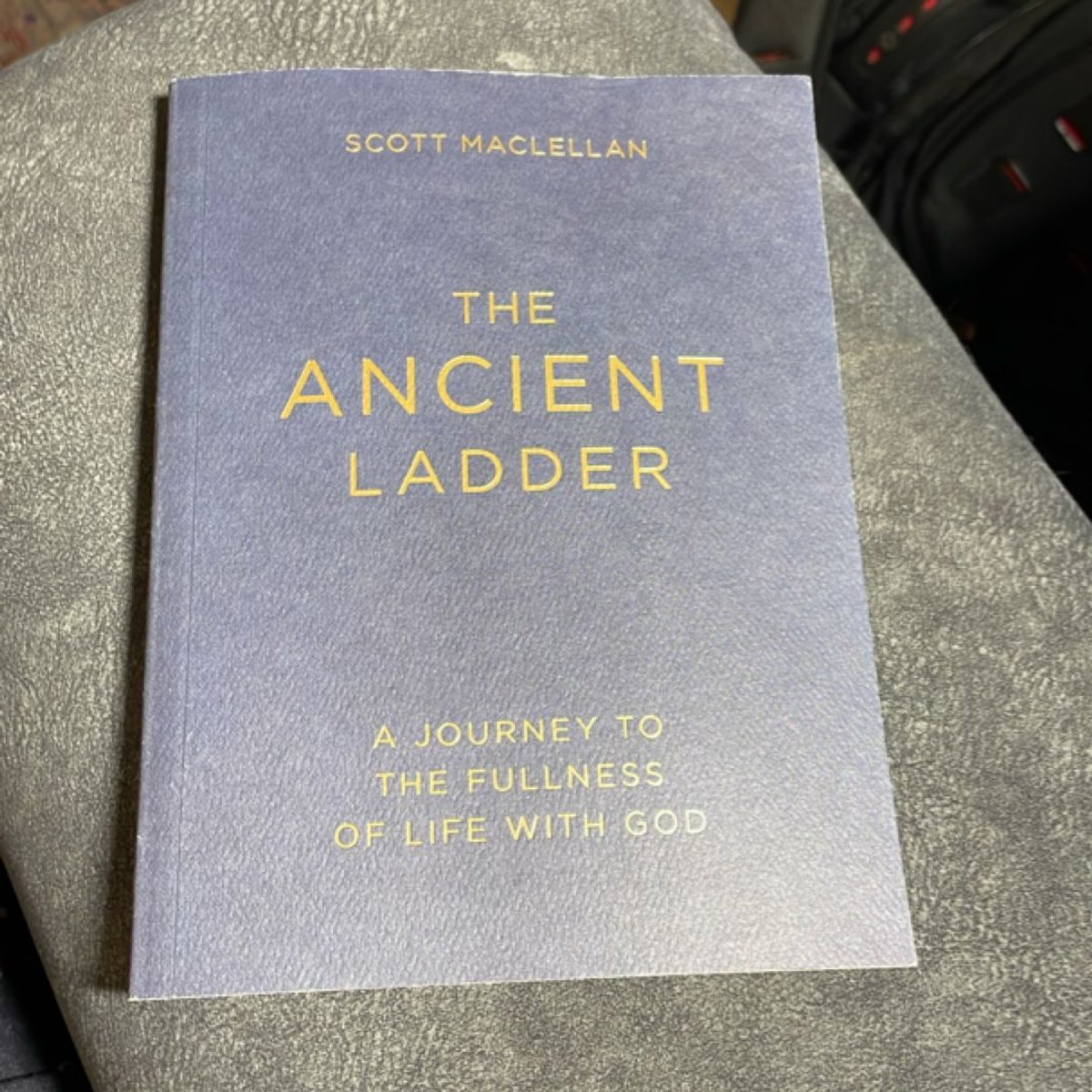 The Ancient Ladder by Scott MacLellan