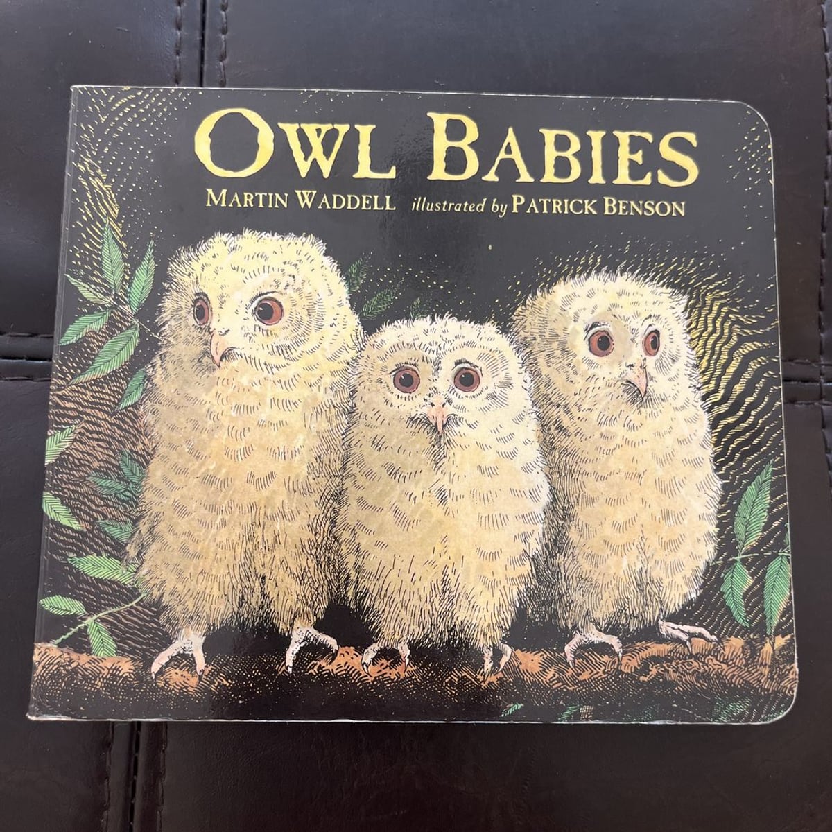 Owl Babies by Martin Waddell, Hardcover | Pango Books