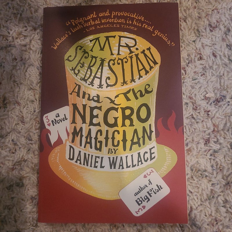 Mr. Sebastian and the Negro Magician by Daniel Wallace