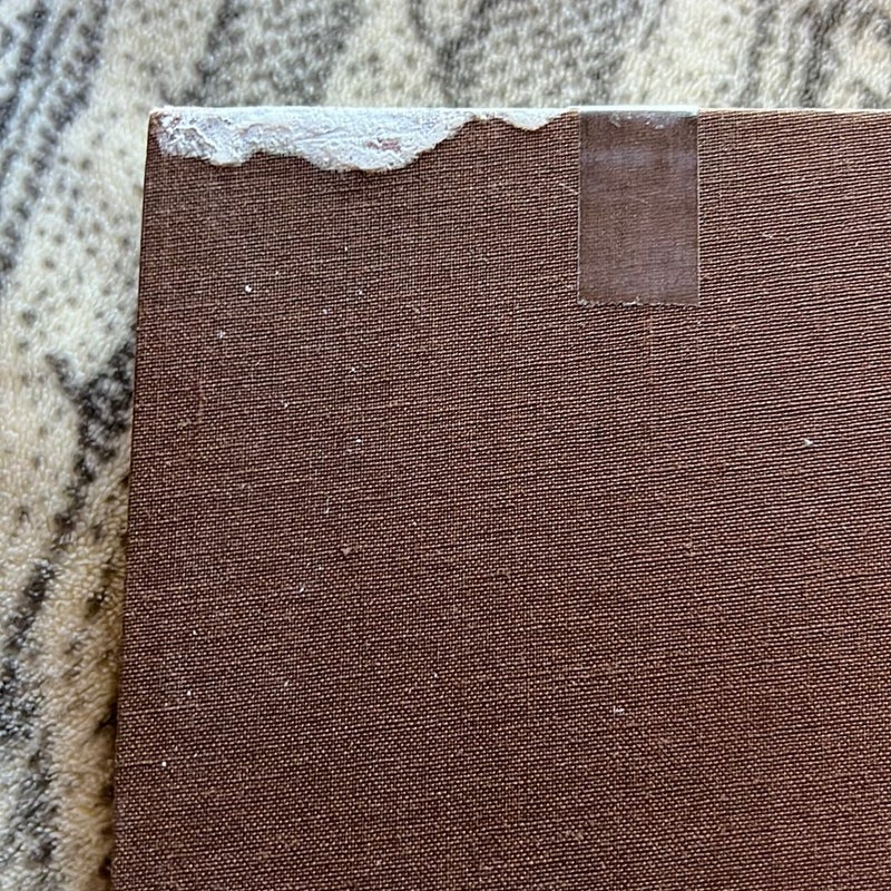 Tree Girl by Ben Mikaelsen, Hardcover | Pangobooks