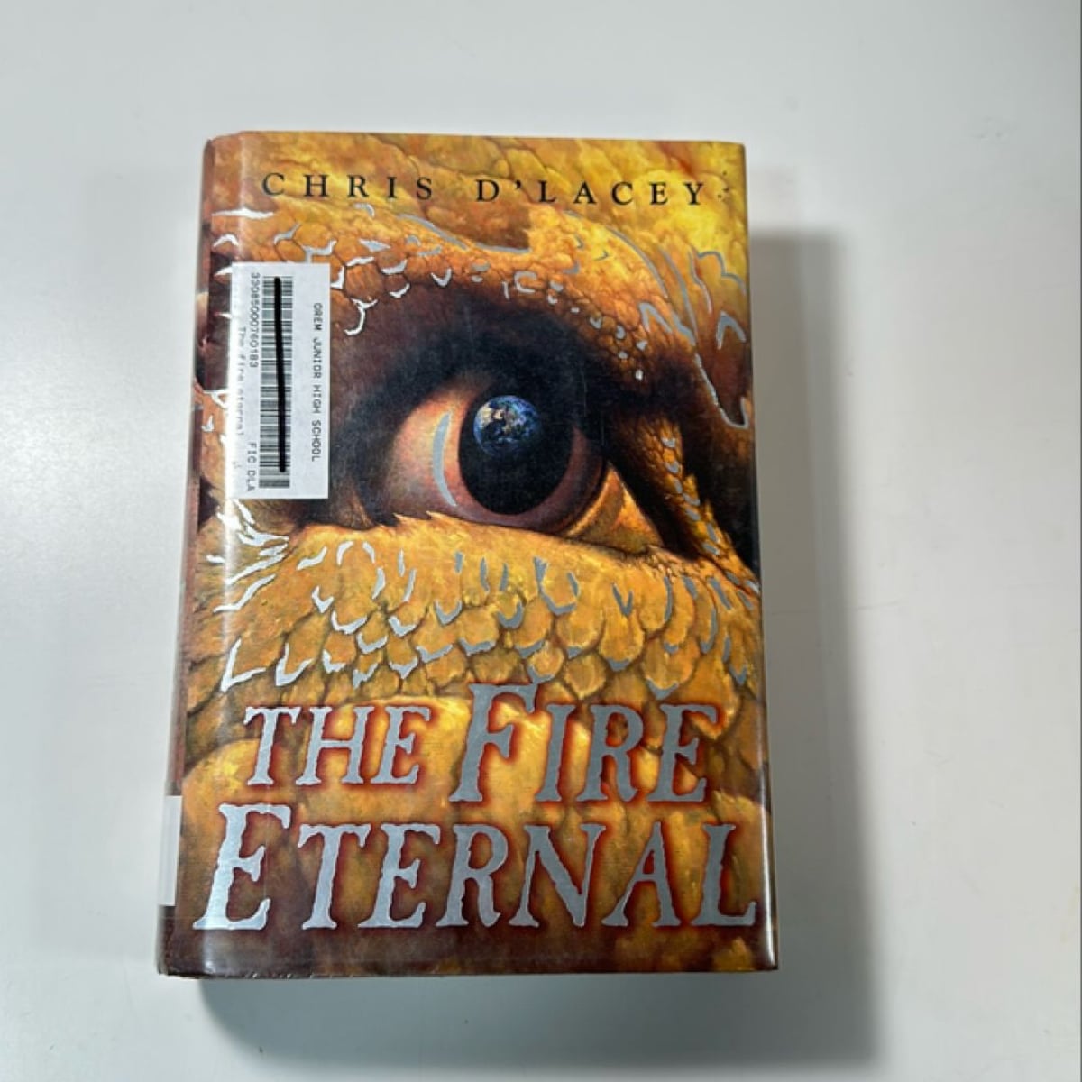 The Fire Eternal by Chris d'Lacey