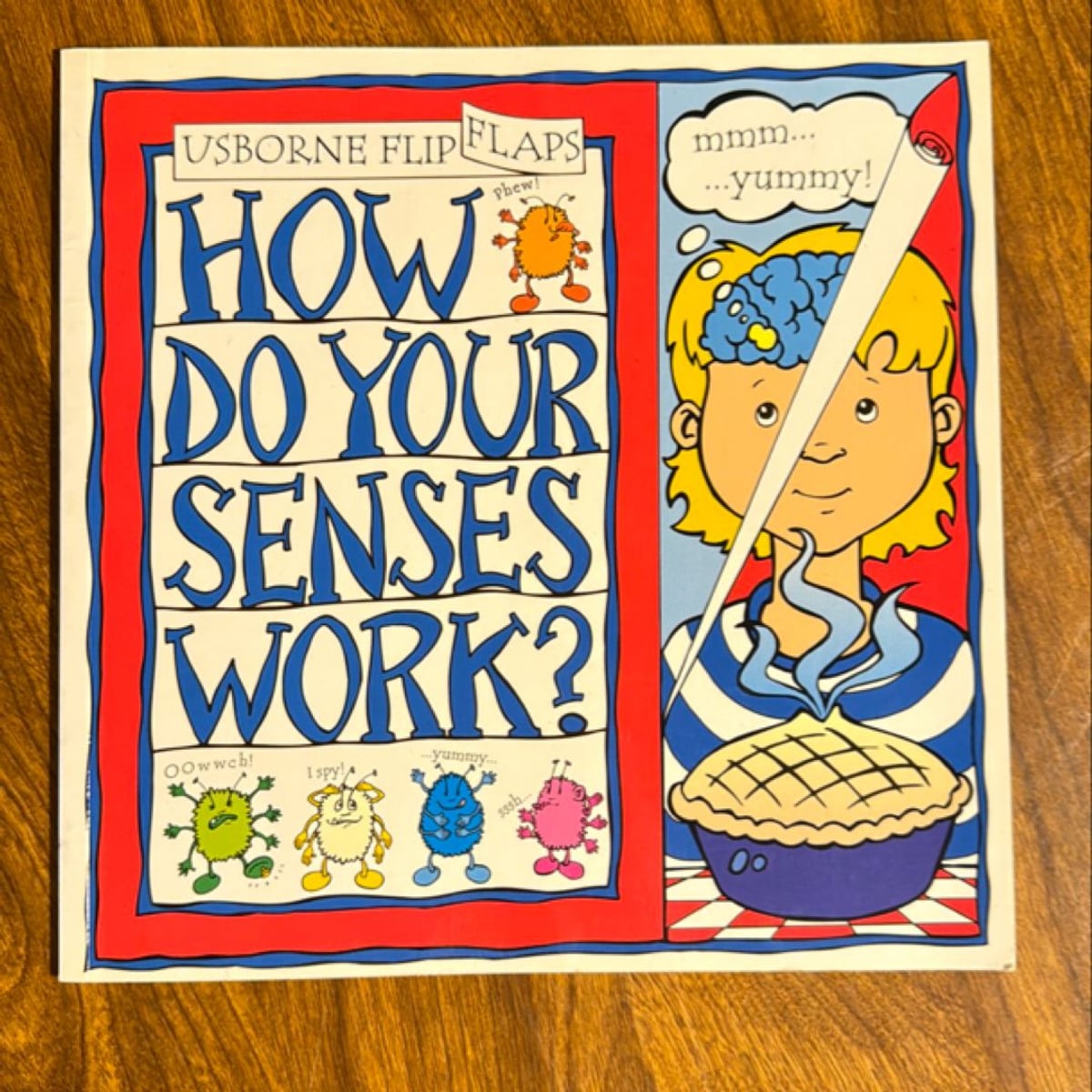 How do your senses work by Usborne, Paperback | Pangobooks