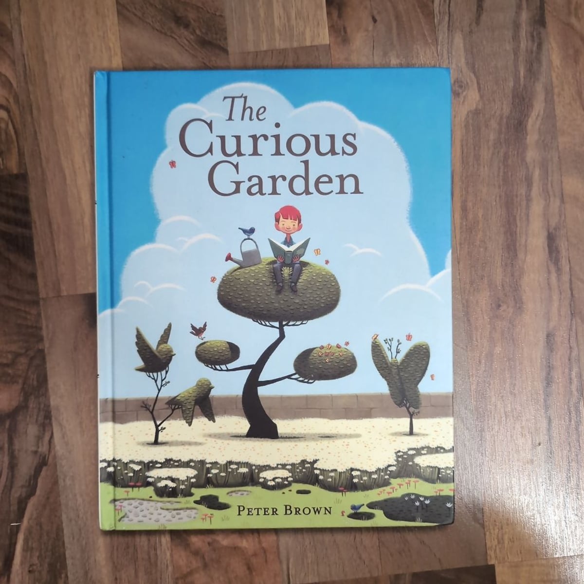 The Curious Garden by Peter Brown