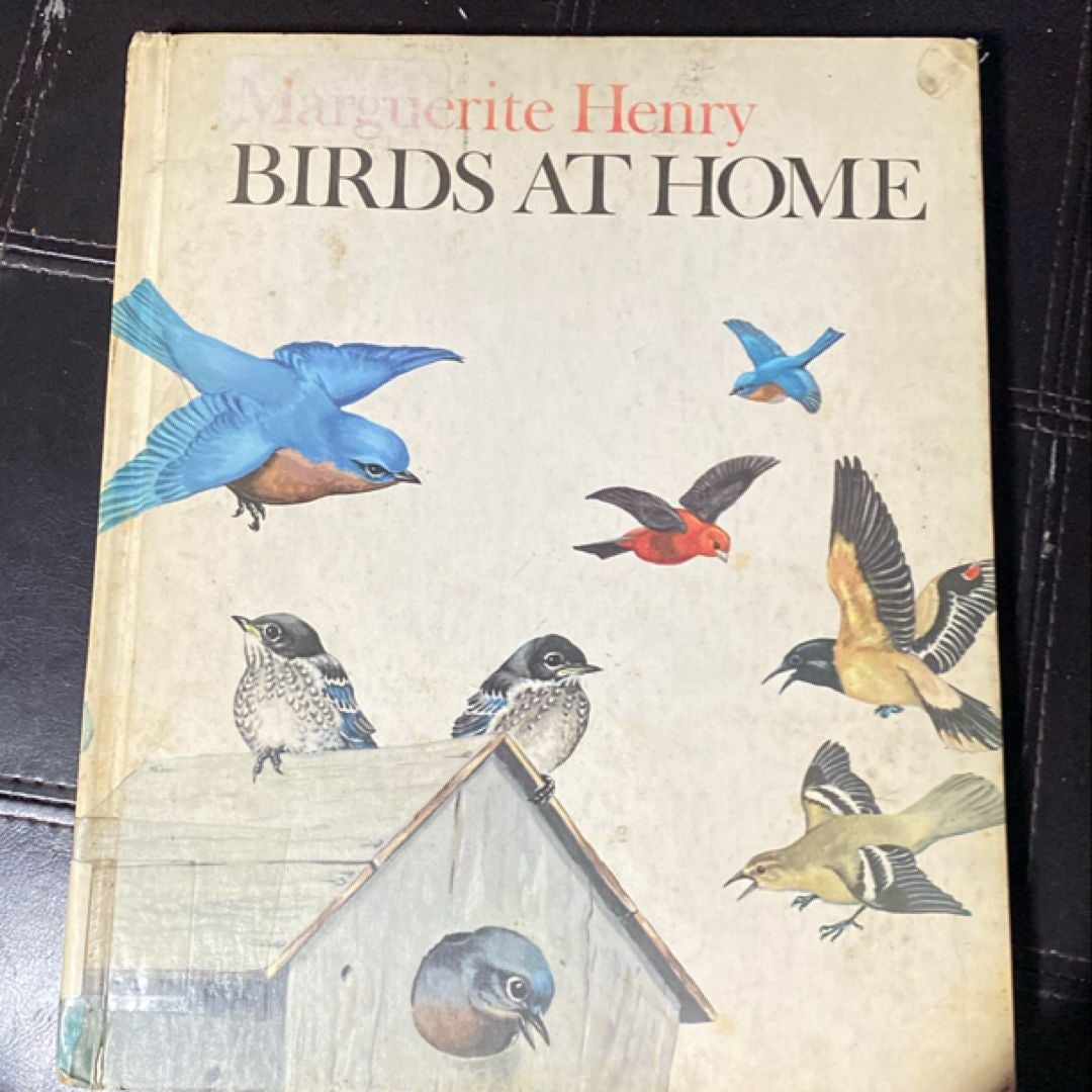 Birds at Home by Marguerite Henry