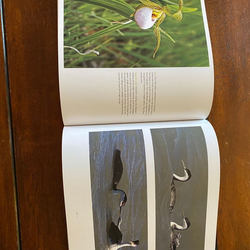 A Prairie Year by George Rohde, Paperback | Pangobooks