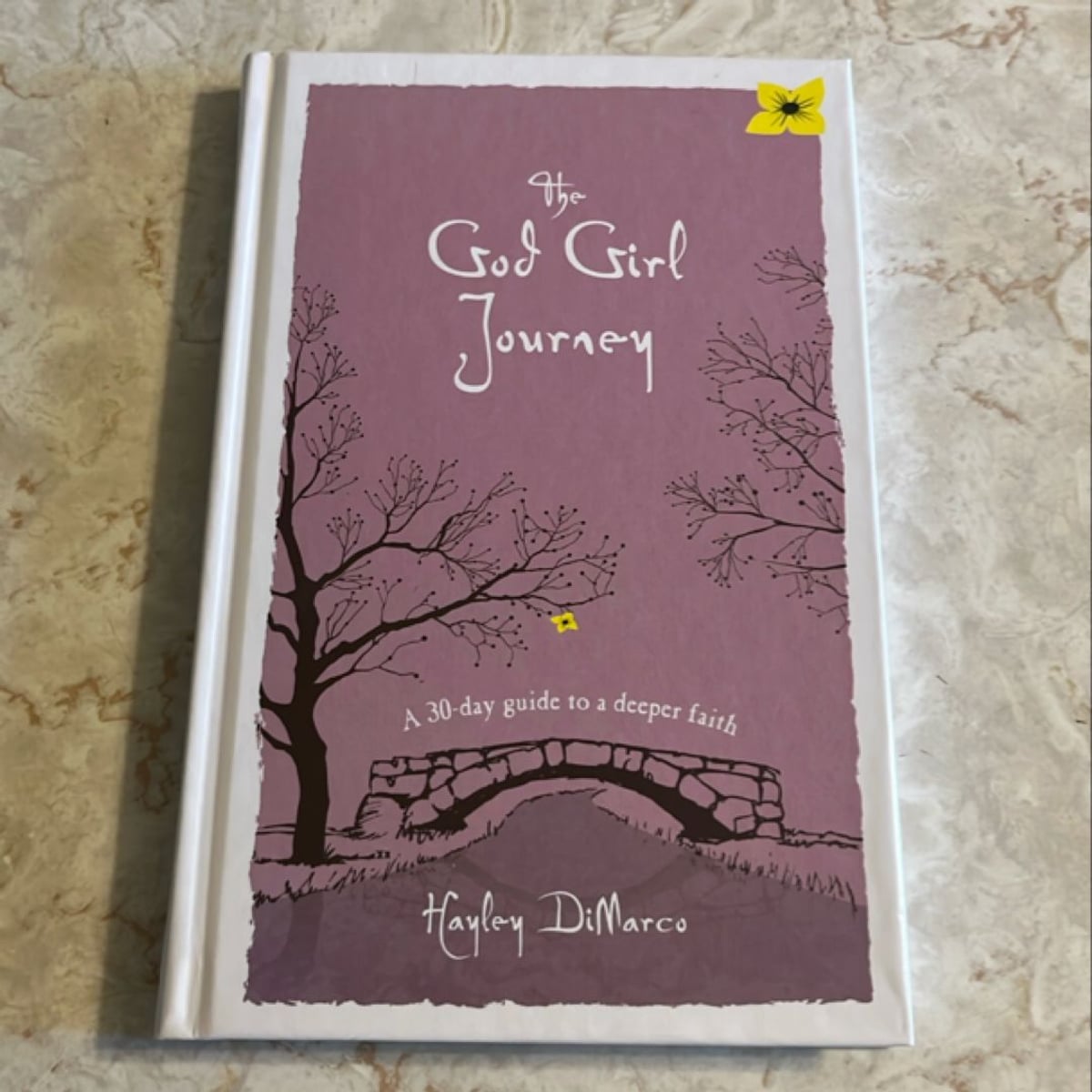 The God Girl Journey by Hayley DiMarco