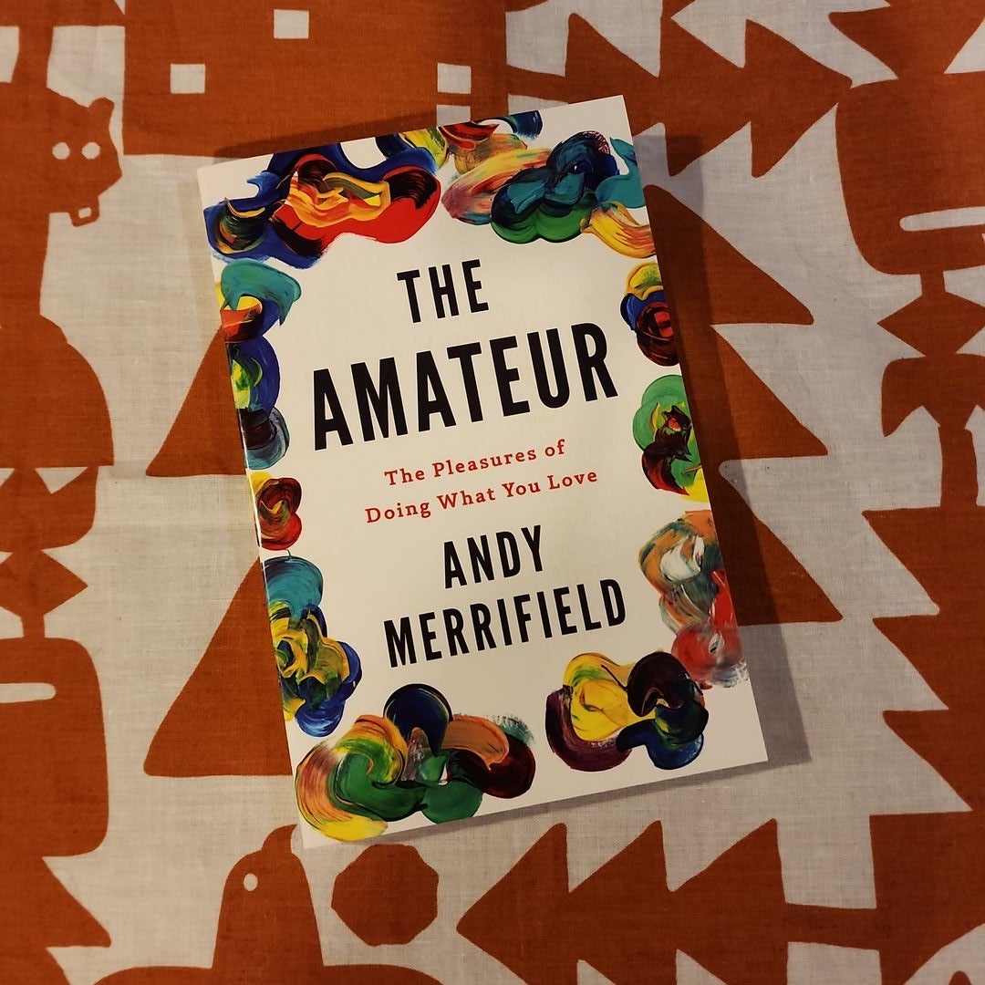 The Amateur by Andy Merrifield