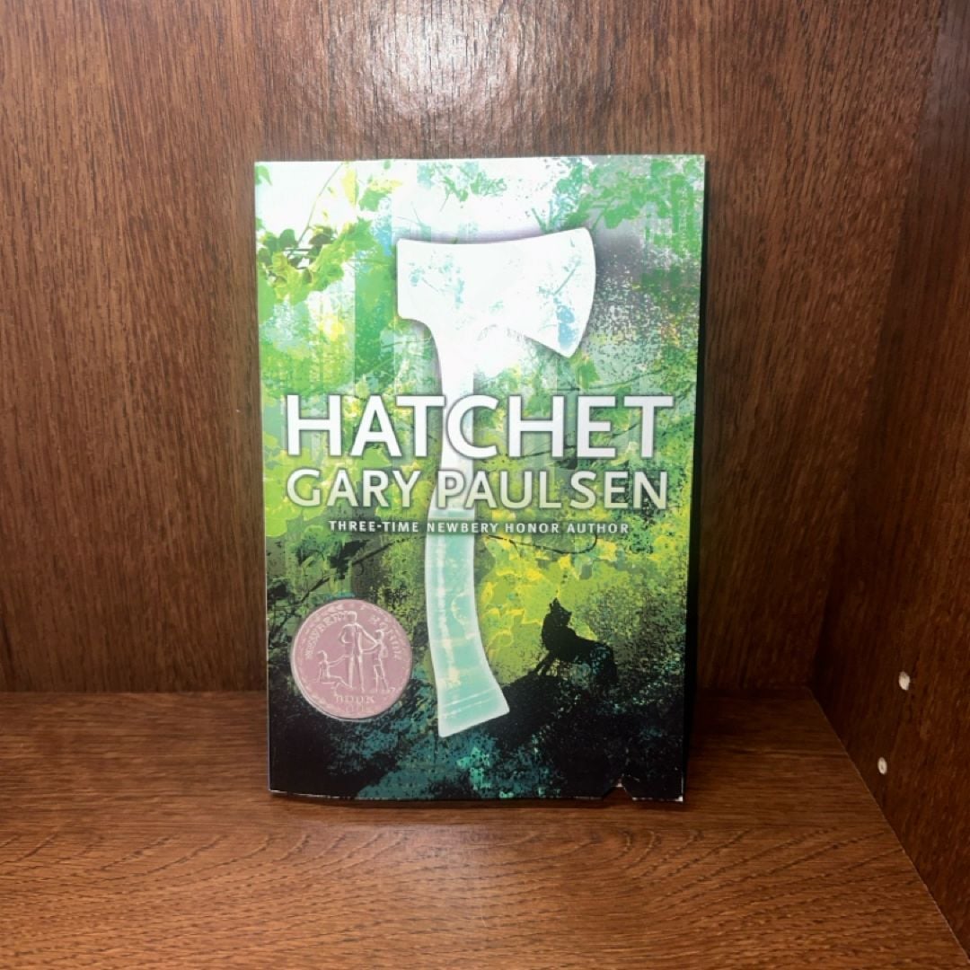 Hatchet by Gary Paulsen , Paperback | Pangobooks