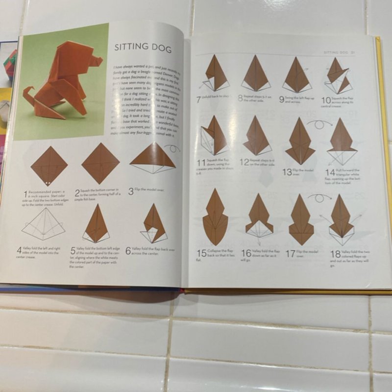Outside the Box Origami by Scott Wasserman Stern