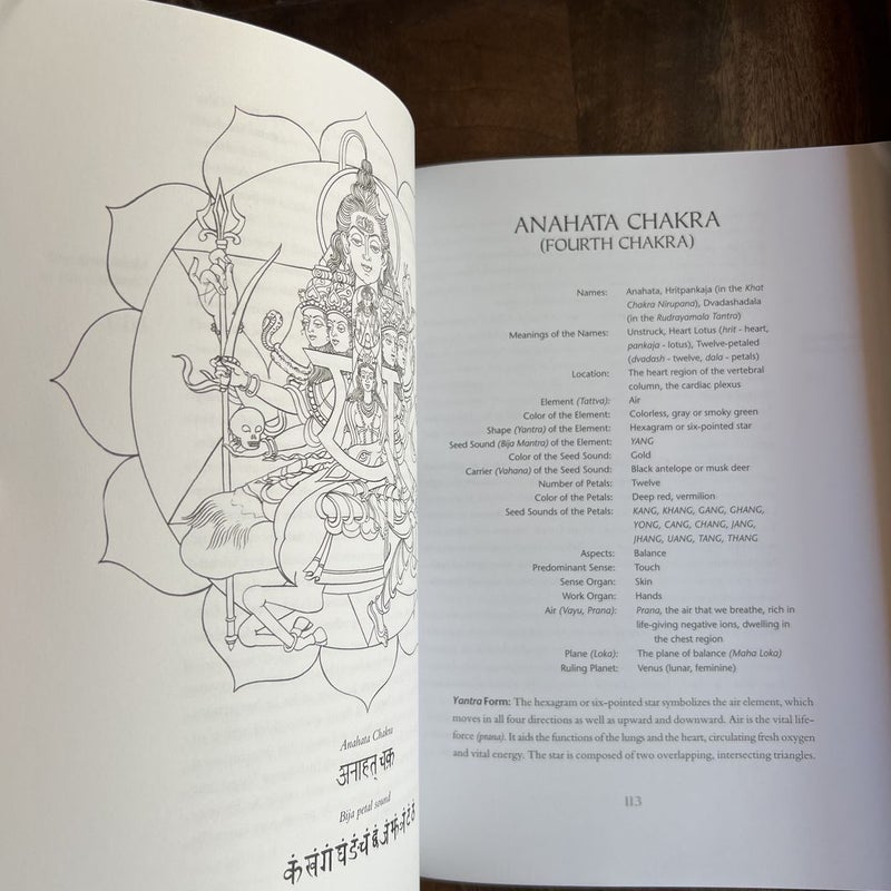 Chakras by Harish Johari