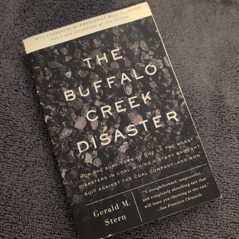 The Buffalo Creek Disaster by Gerald M. Stern