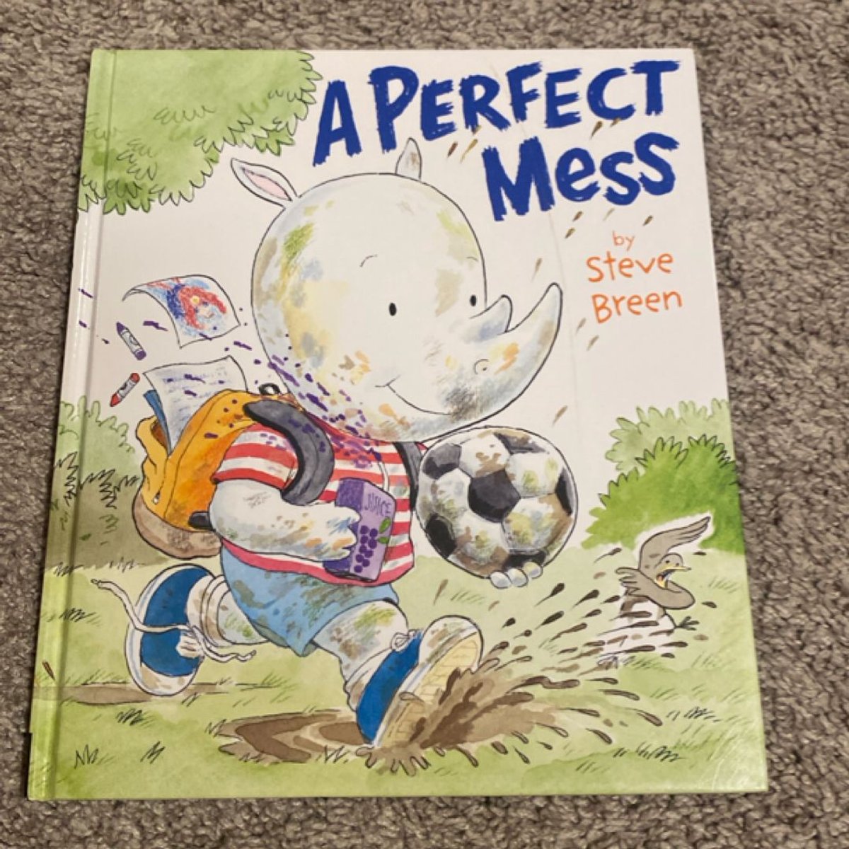 A Perfect Mess by Steve Breen