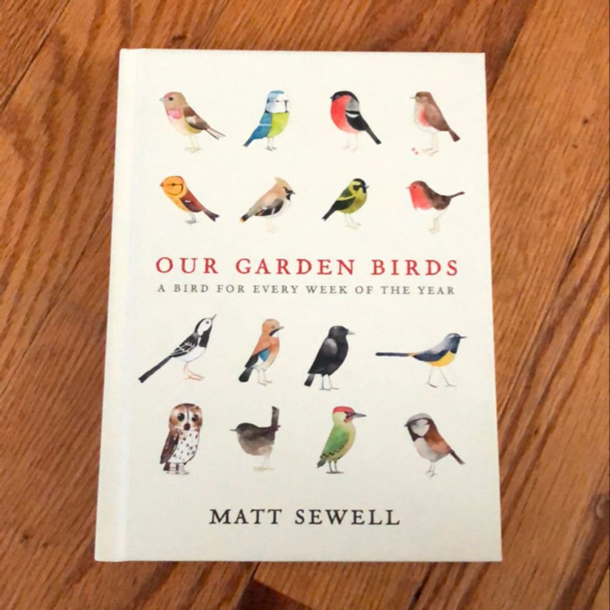 Our Garden Birds by Matt Sewell