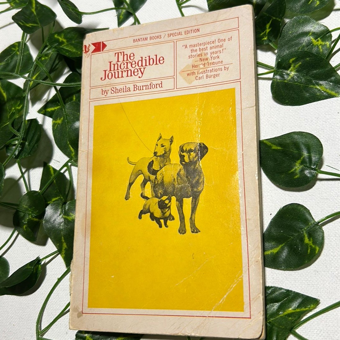 The Incredible Journey by Sheila Burnford, Paperback | Pangobooks