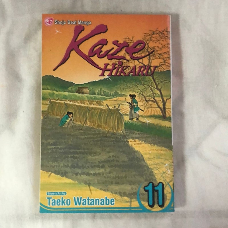 Kaze Hikaru, Vol. 11 by Taeko Watanabe