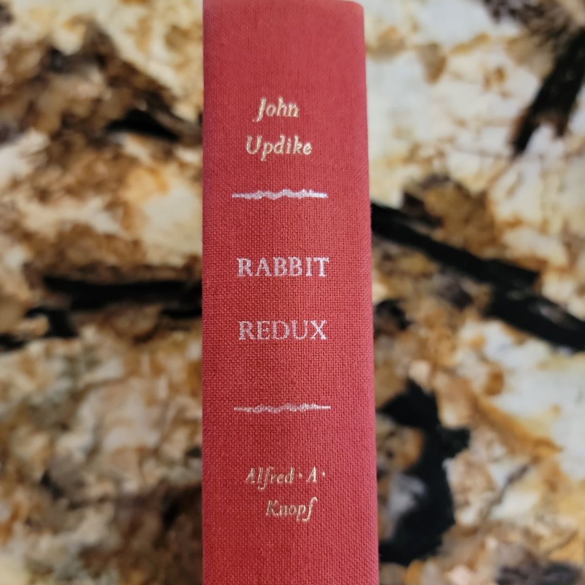 Rabbit Redux by John Updike