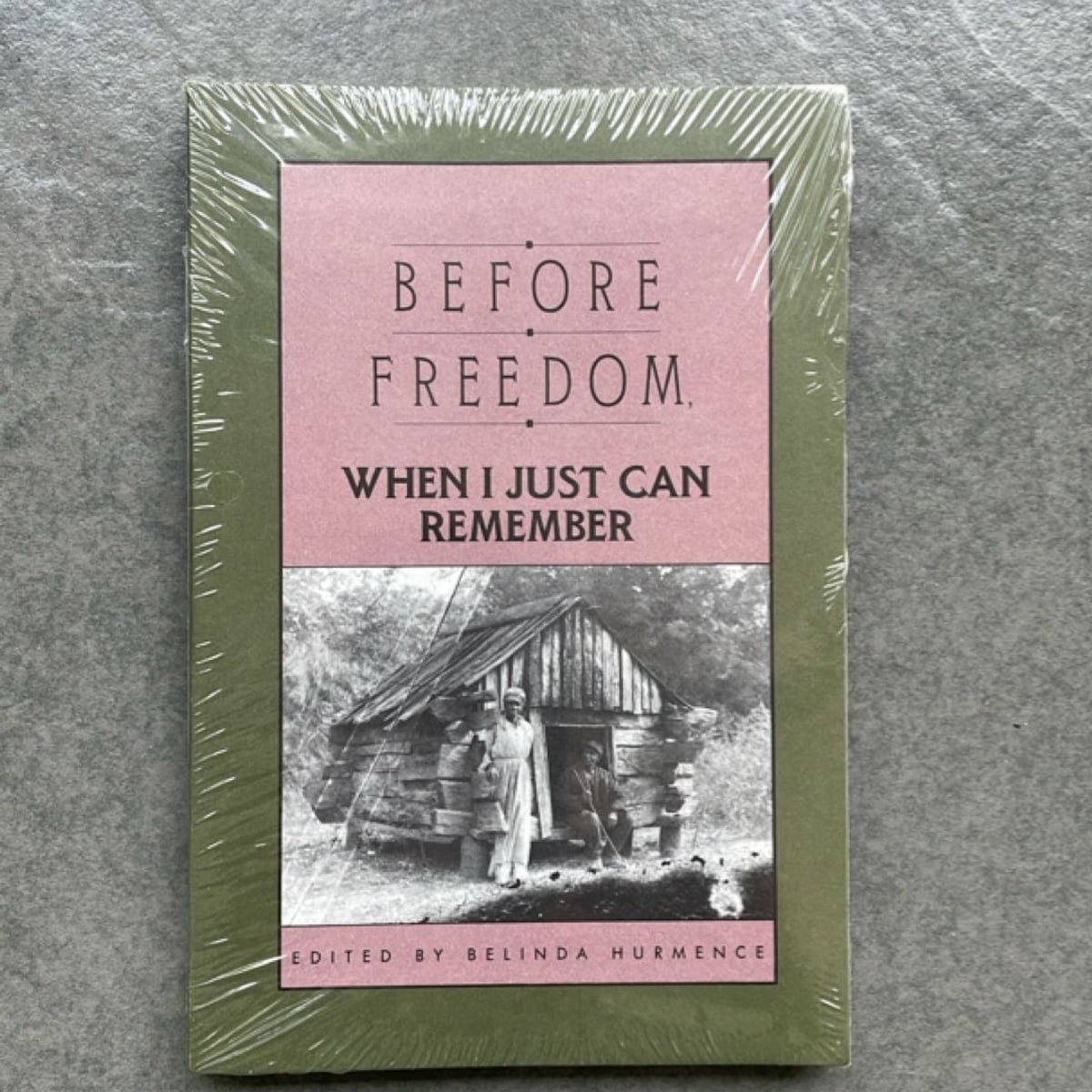 Before Freedom When I Just Can Remember by Belinda Hurmence