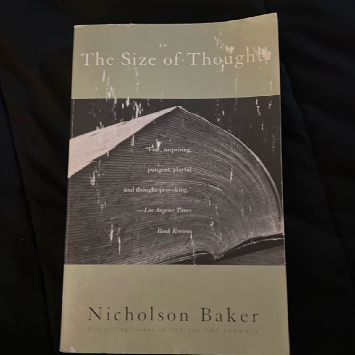 The Size of Thoughts by Nicholson Baker