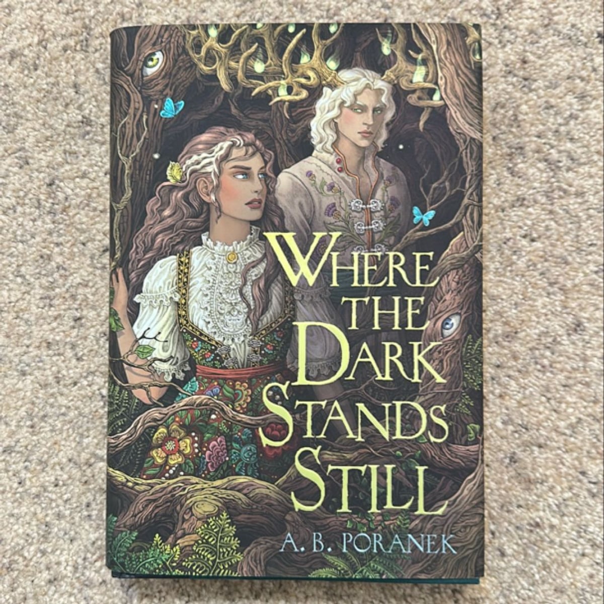Where the Dark Stands Still by , Hardcover | Pangobooks