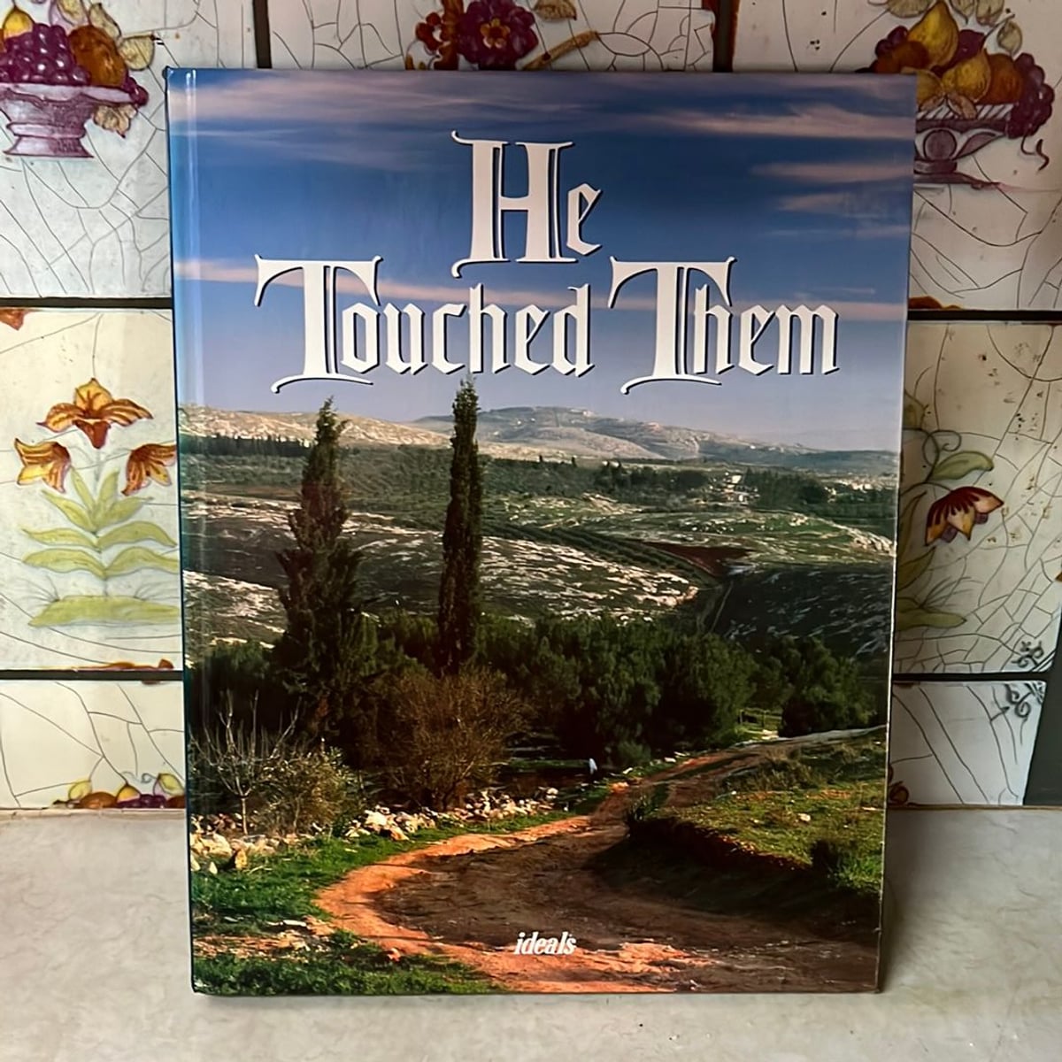 He Touched Them by Patricia A. Pingry, Hardcover | Pangobooks