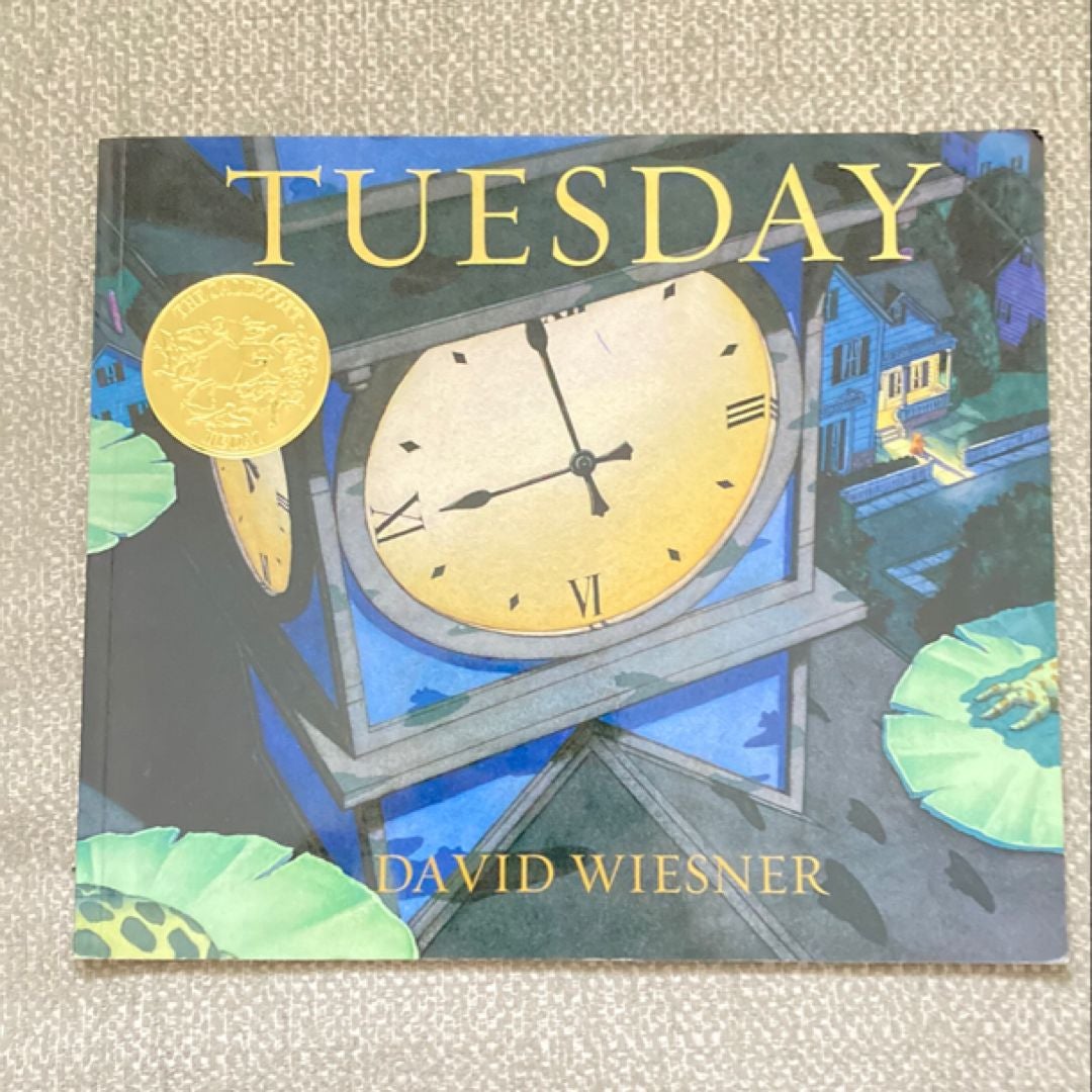 Tuesday by David Wiesner, Paperback | Pangobooks