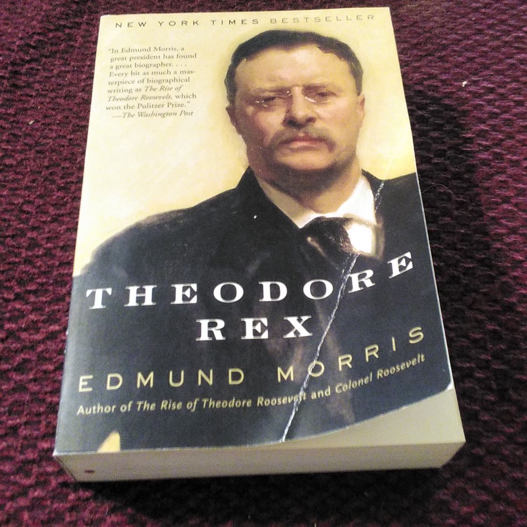 Theodore Rex by Edmund Morris