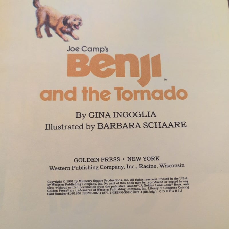 Joe Camps Benji and the Tornado (Vintage 1981) by Gina Ingoglia ...