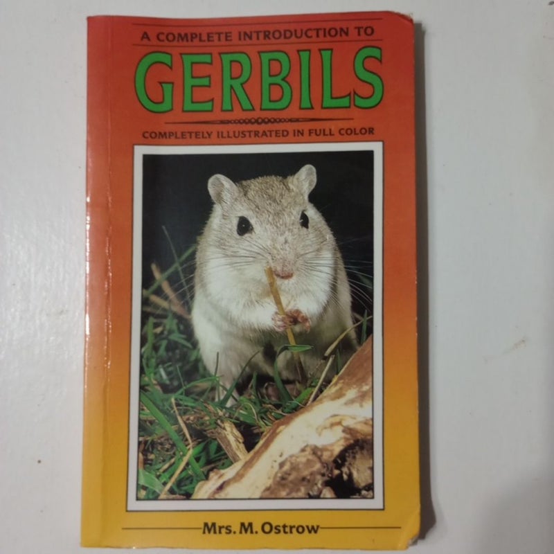 A Complete Introduction to Gerbils by Marshall E. Ostrow