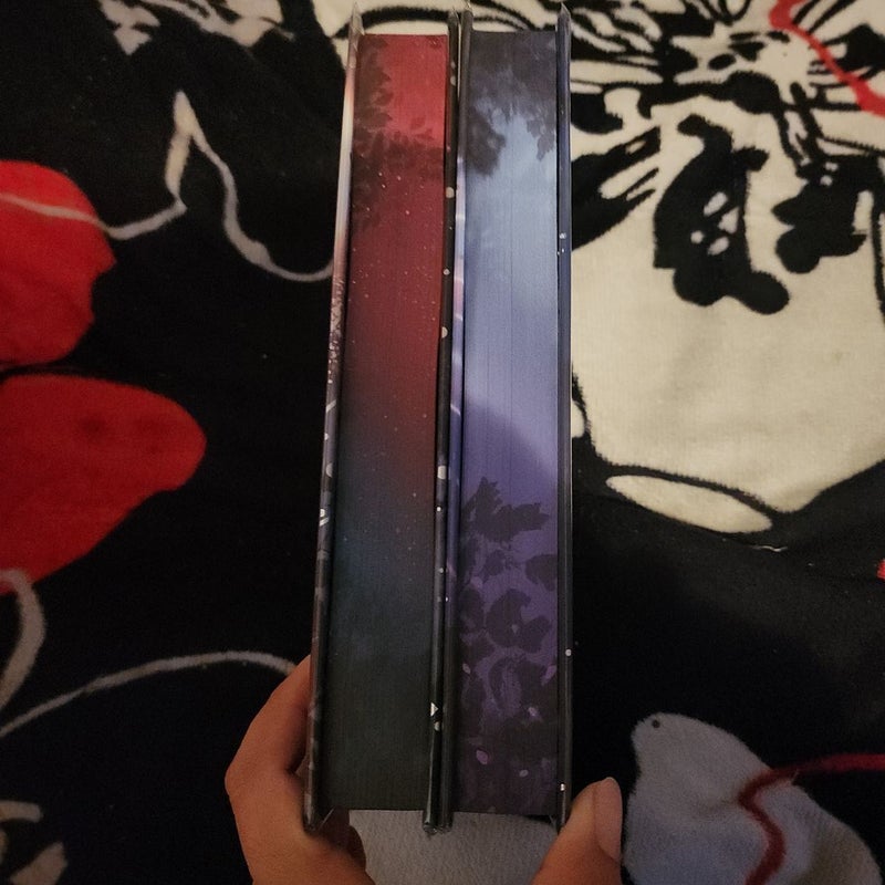 Zodiac Wolves Arcane Society 1st Printing by Elizabeth Briggs ...