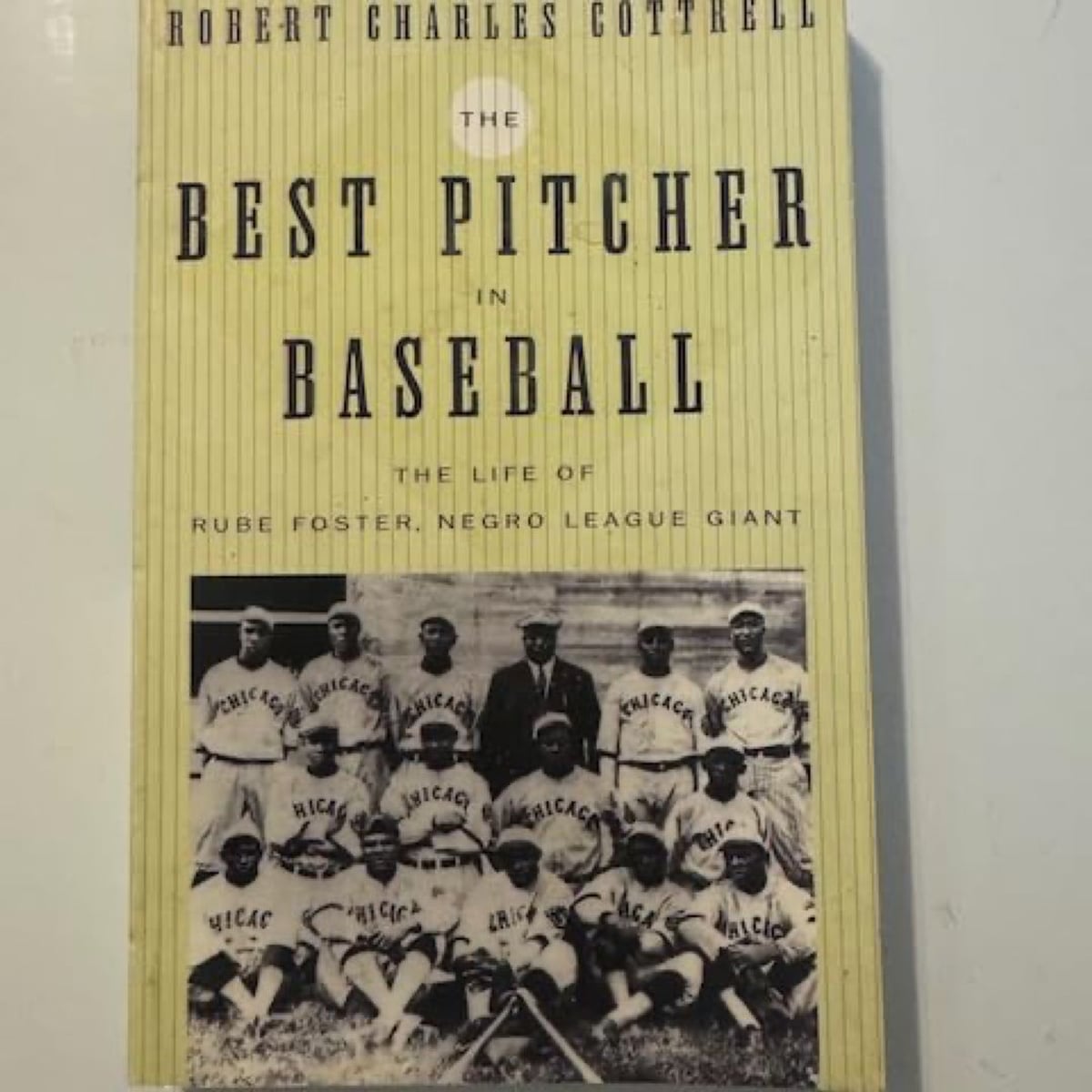 The Best Pitcher in Baseball by Robert Charles Cottrell