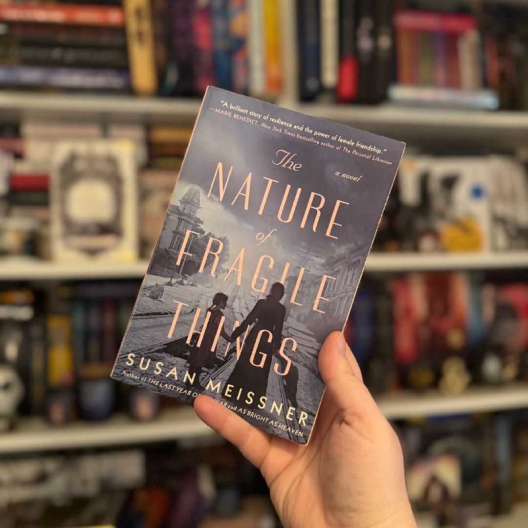 The Nature of Fragile Things by Susan Meissner, Paperback | Pangobooks