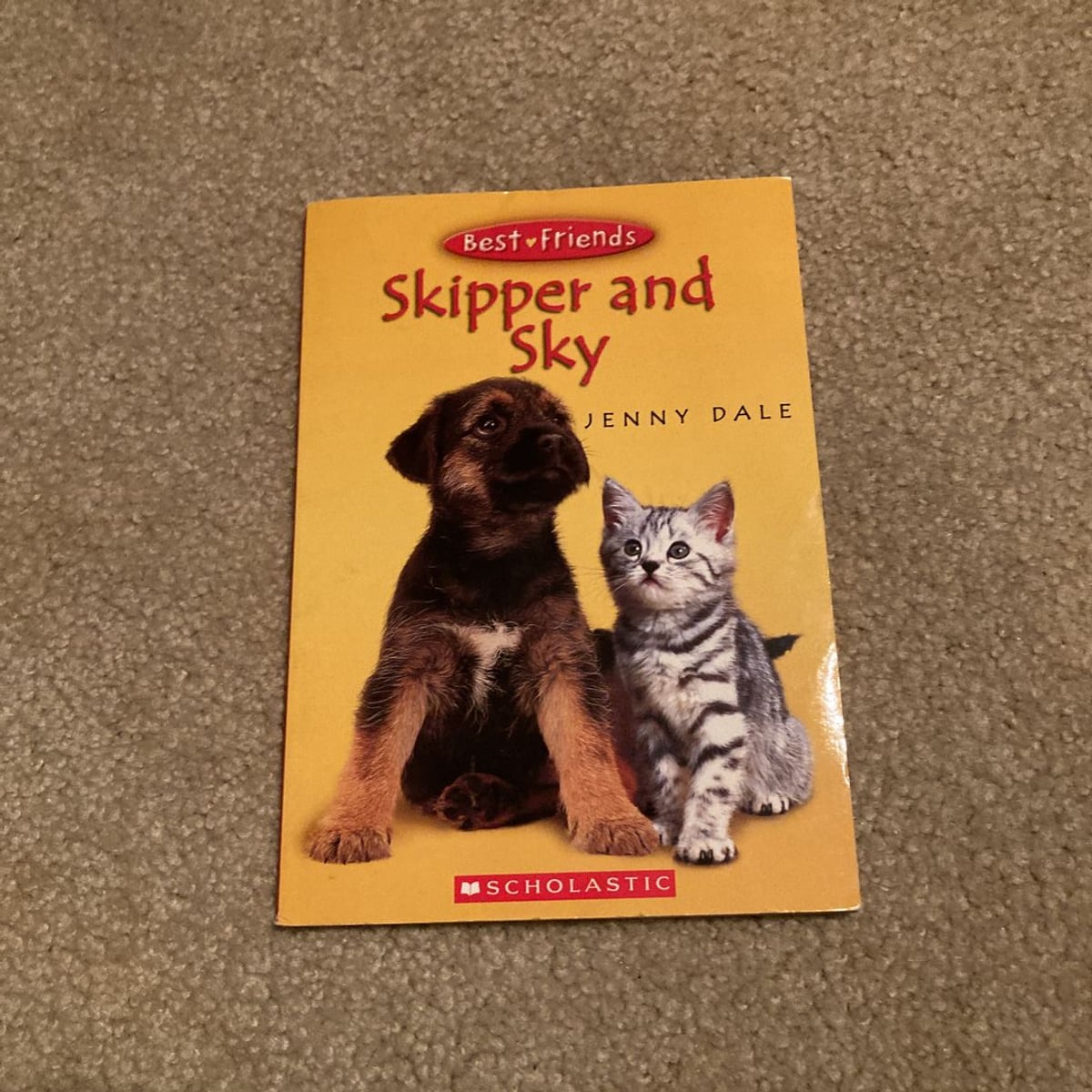 Skipper and Sky by Jenny Dale