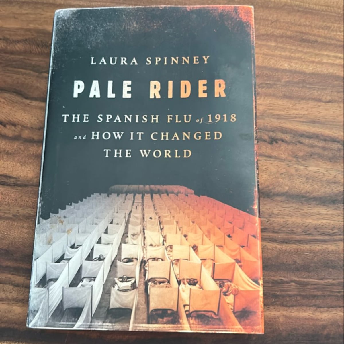 Pale Rider by Laura Spinney