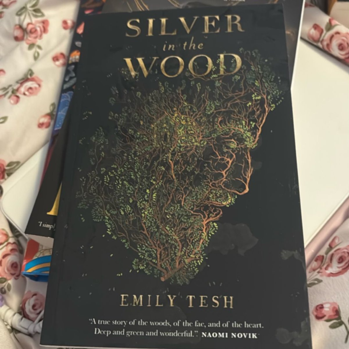 Silver in the Wood by Emily Tesh
