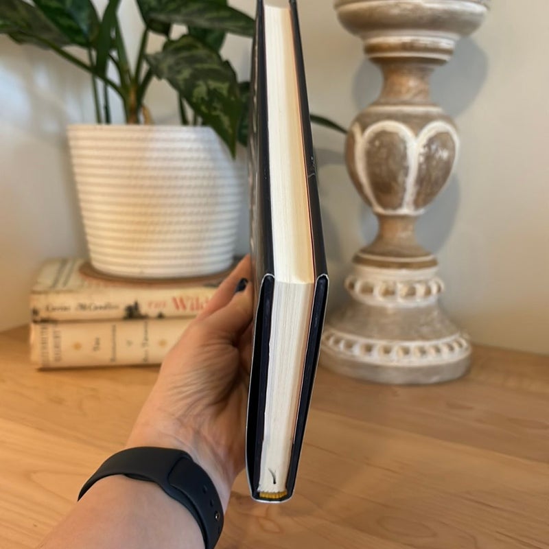 Follow Me to Ground by Sue Rainsford