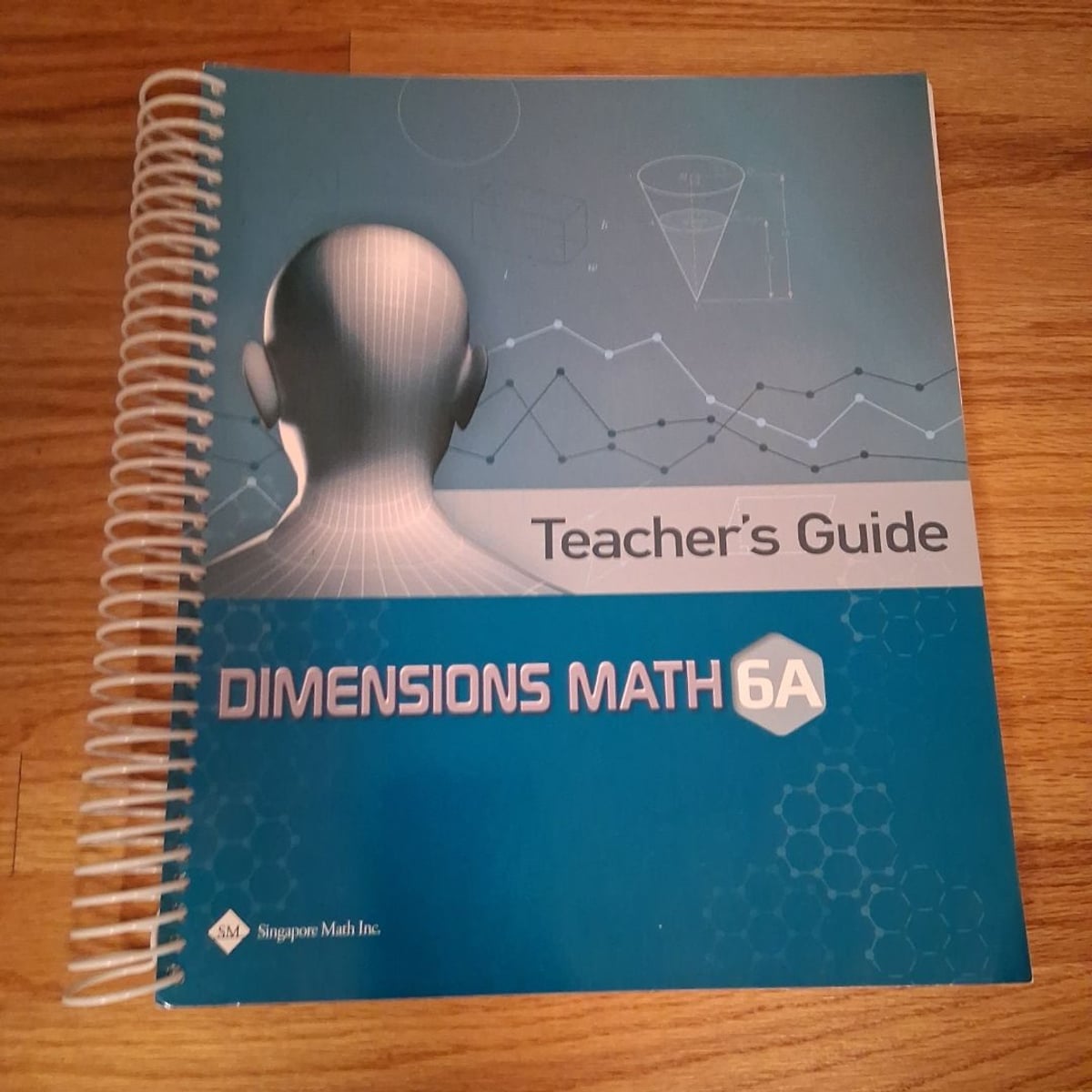 Dimensions Math Teacher's Guide 6A by