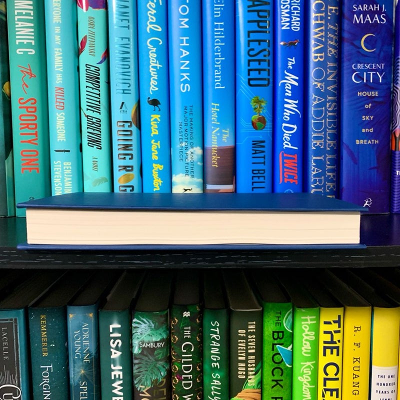 The Great Transition by Nick Fuller Googins, Hardcover | Pangobooks