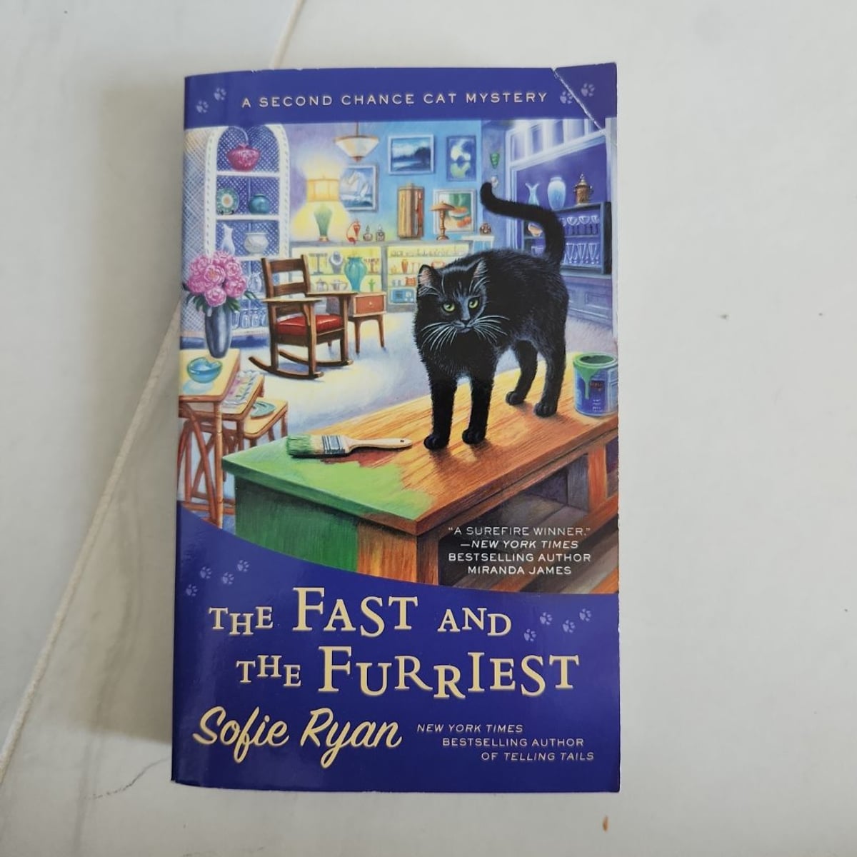 The Fast and the Furriest by Sofie Ryan
