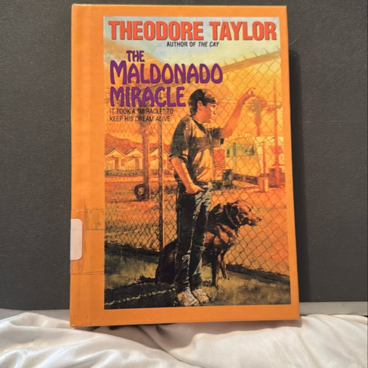 The Maldonado Miracle by Theodore Taylor, Theodore Taylor