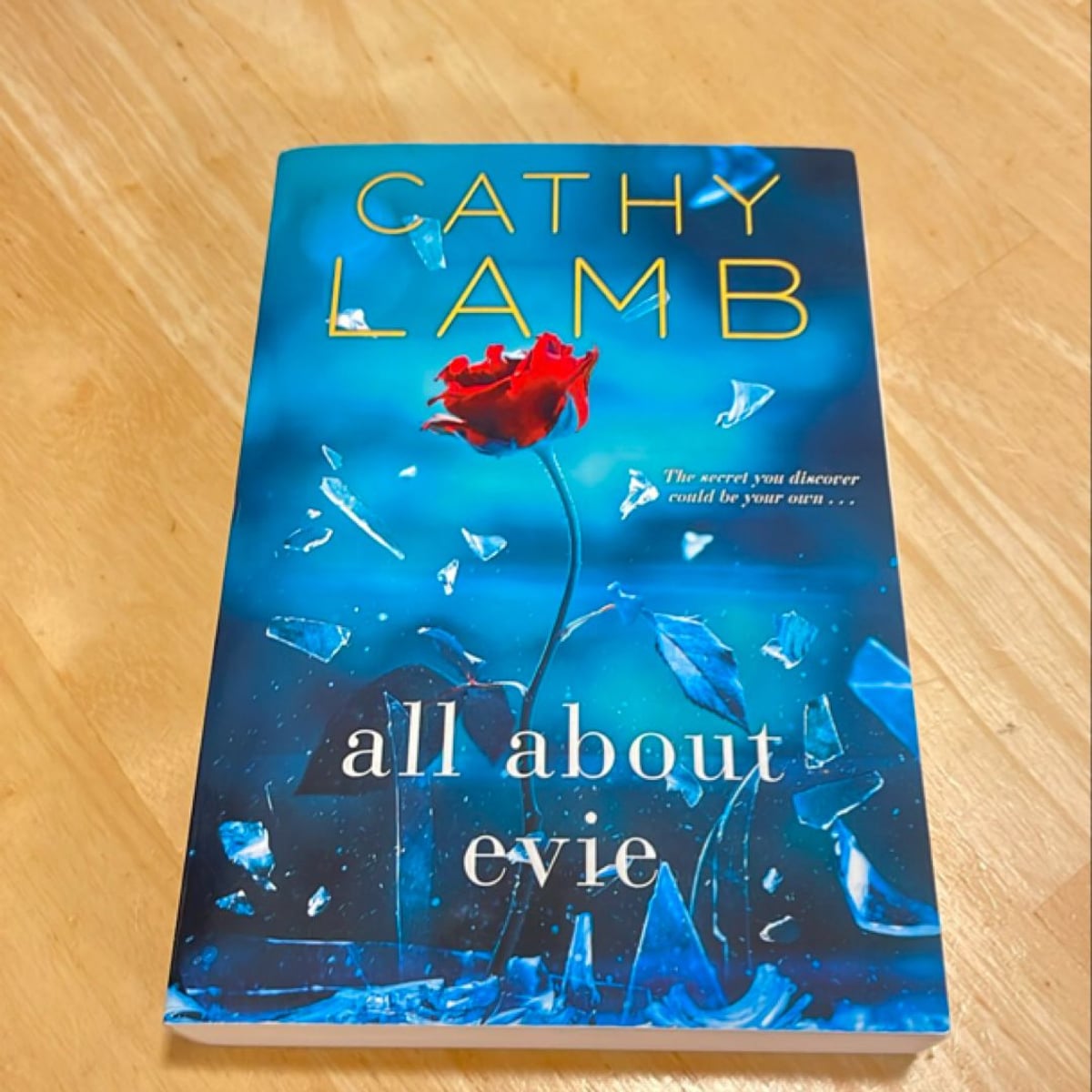 All about Evie by Cathy Lamb